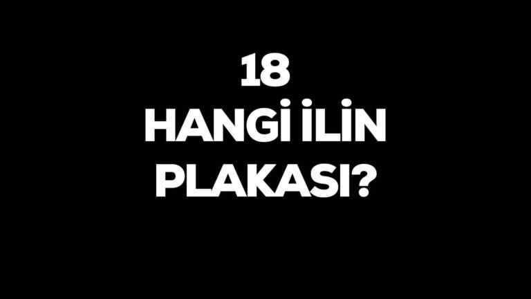18 hangi ilin plakası? 18 nerenin plakası, hangi şehir? - Webhaberim