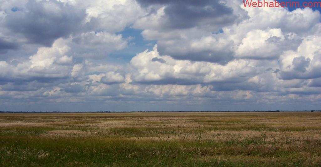 Step iklimi özellikleri - Webhaberim.com